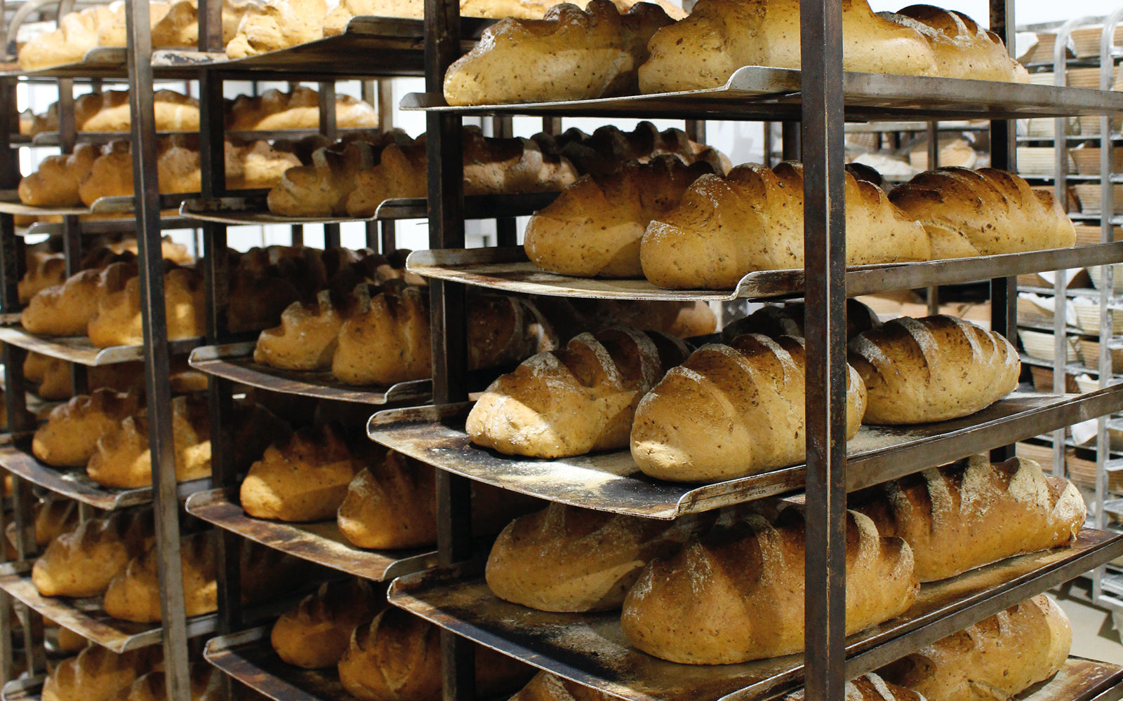 Hobbs House Bakery | Cookery Courses | Shop Online | Recipes